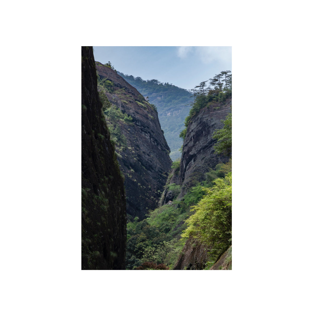 Tealeafster - Introduction to the world of Yancha, Part One – ANMO